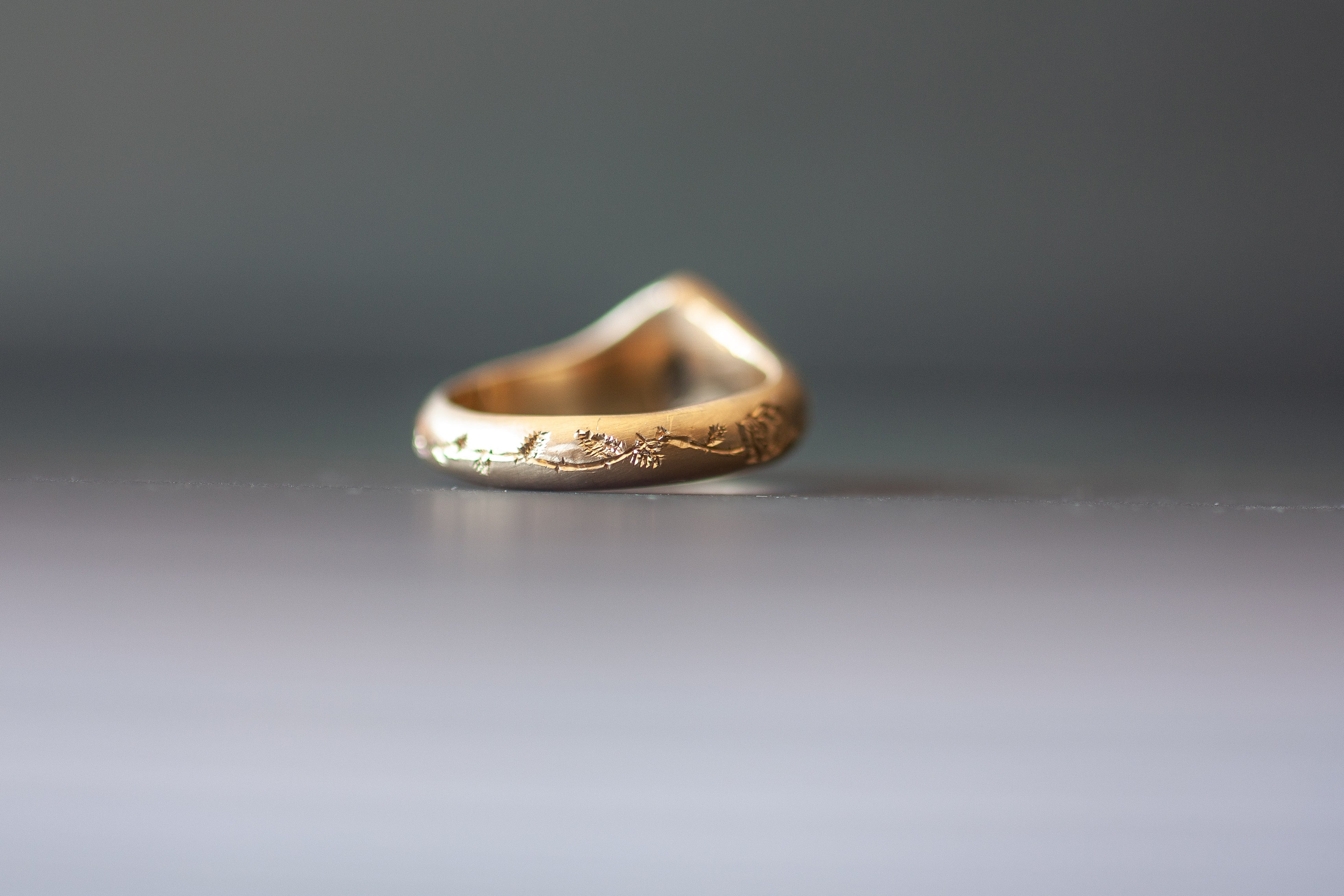 Everest signet ring – Rebel and rogue jewelry